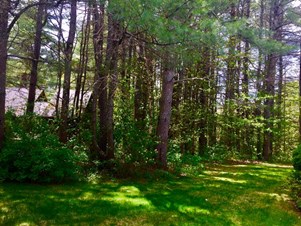 Ashish Agarwal Realtor - Top Real Estate Agent in Roswell, GA | Sulekha